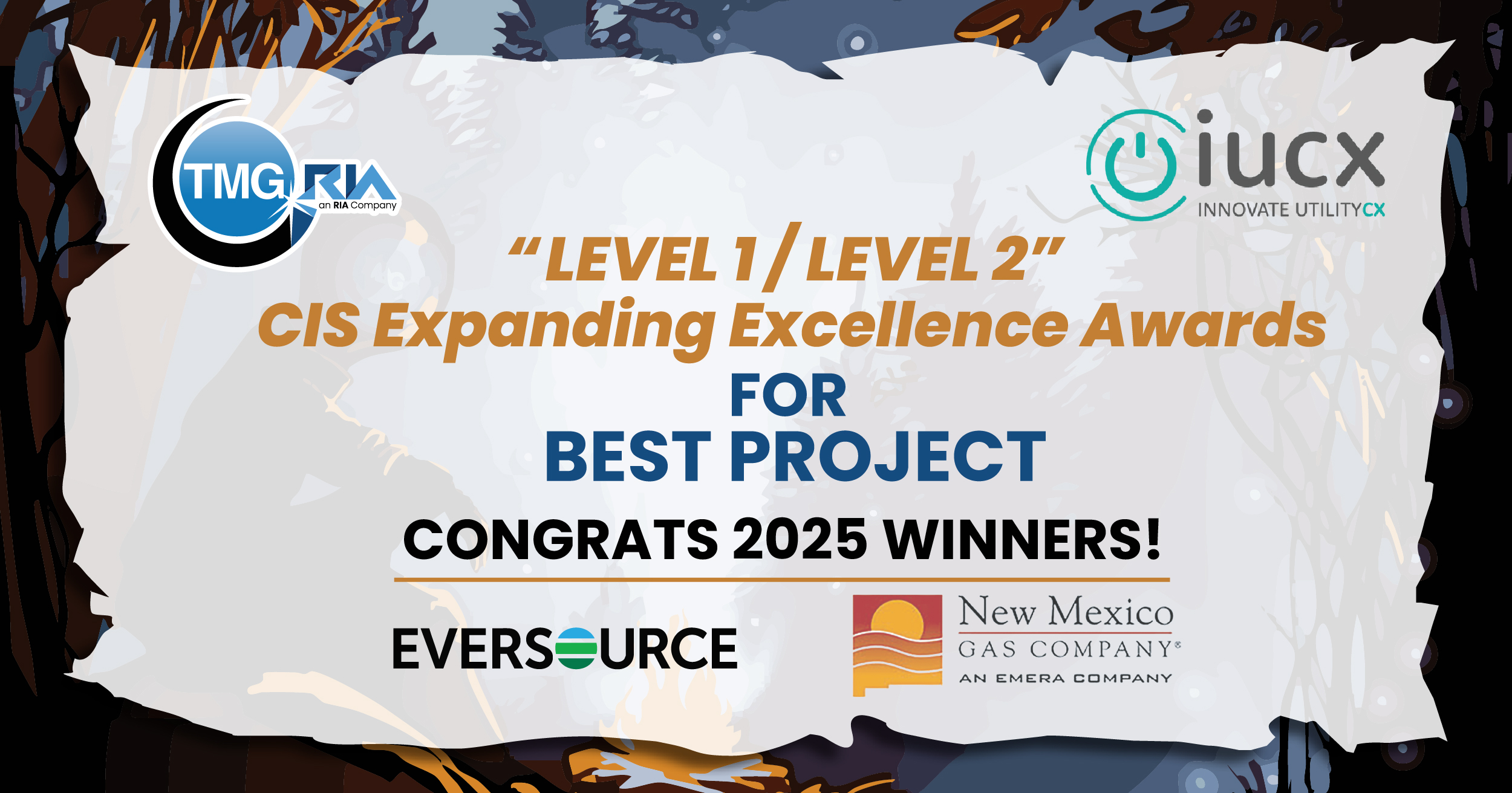 2025 IUCX Awards | TMG, an RIA company